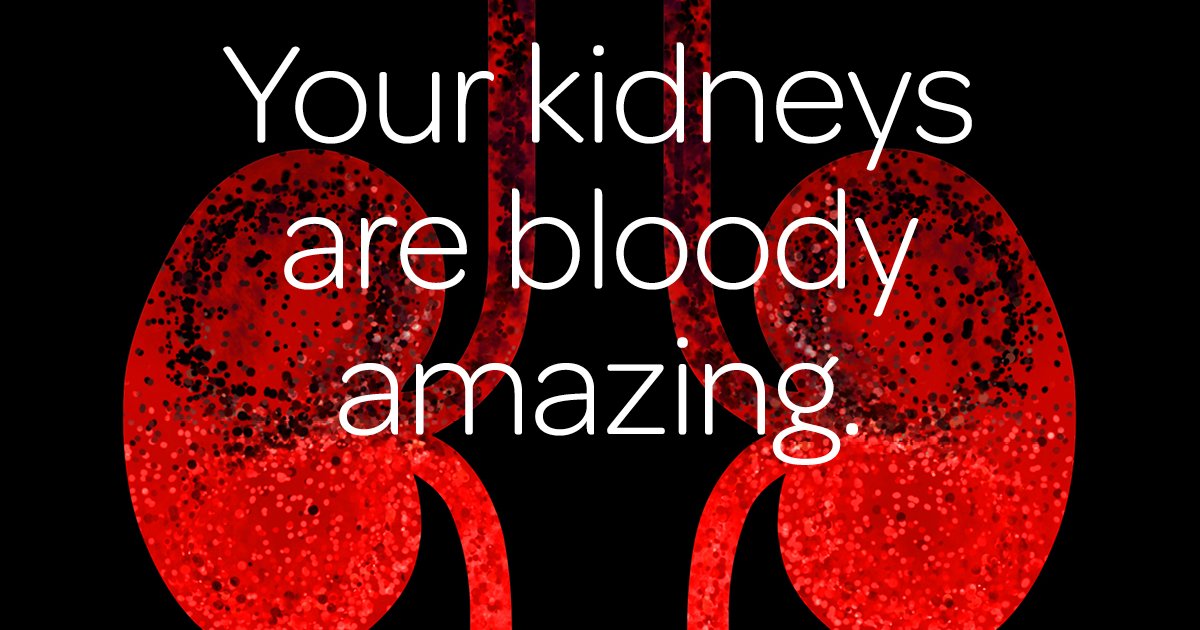 Celebrating our Bloody Amazing Kidneys with our new awareness campaign ...