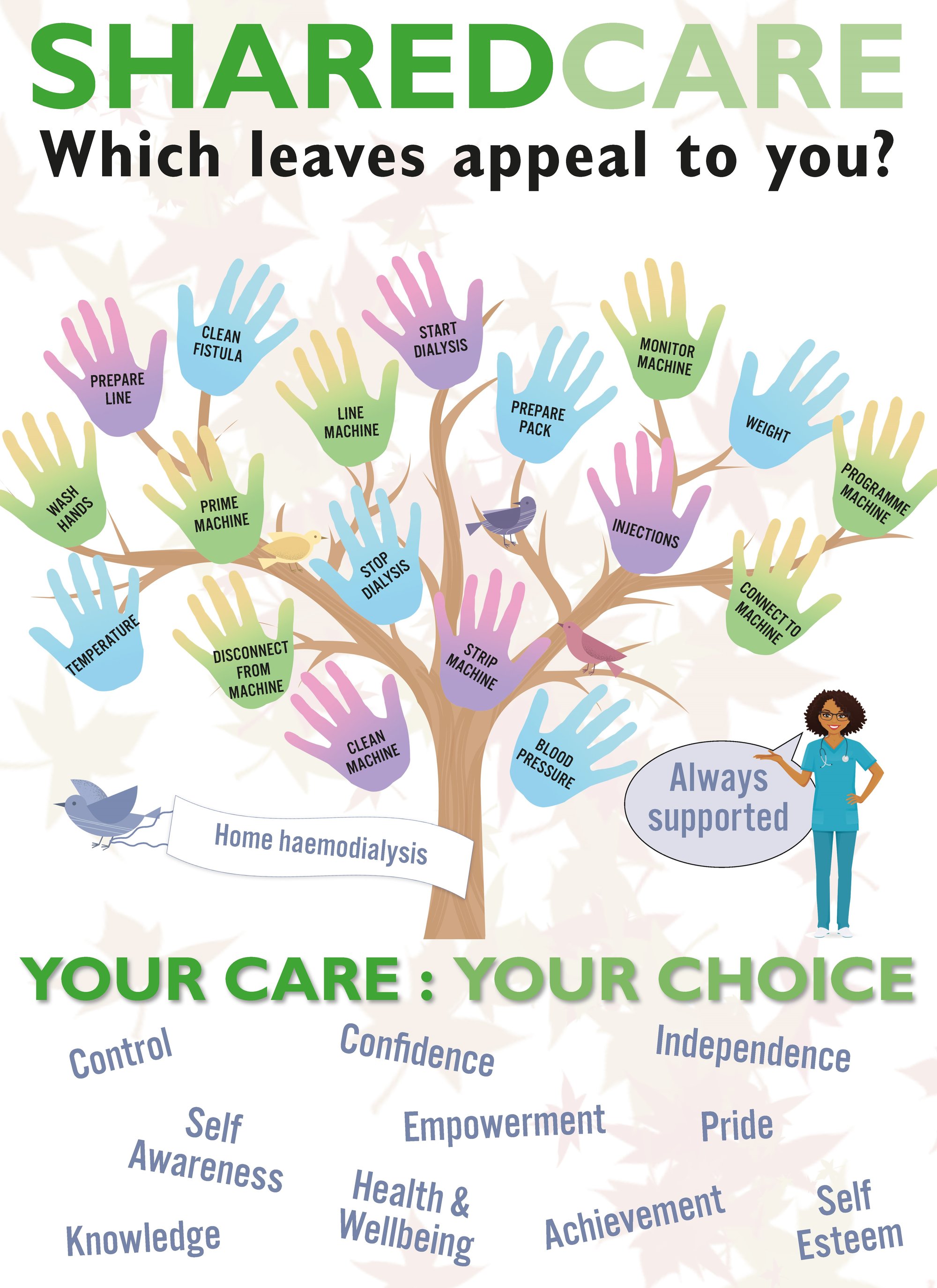 Why the patient should be at the centre of Shared Haemodialysis Care ...